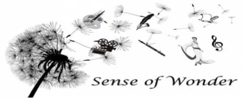 Sense of Wonder Experiences Premiere Reveals | Jacqueline Murray Loring